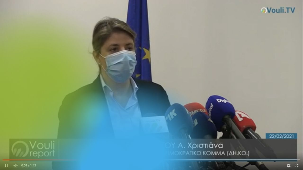 Χριστιάνα Ερωτοκρίτου | Vouli report 22/02/2021 - Vouli TV