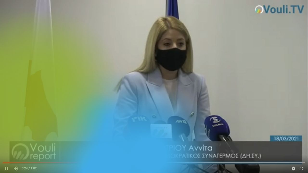 Αννίτα Δημητρίου | Vouli report 18/03/2021 - Vouli TV